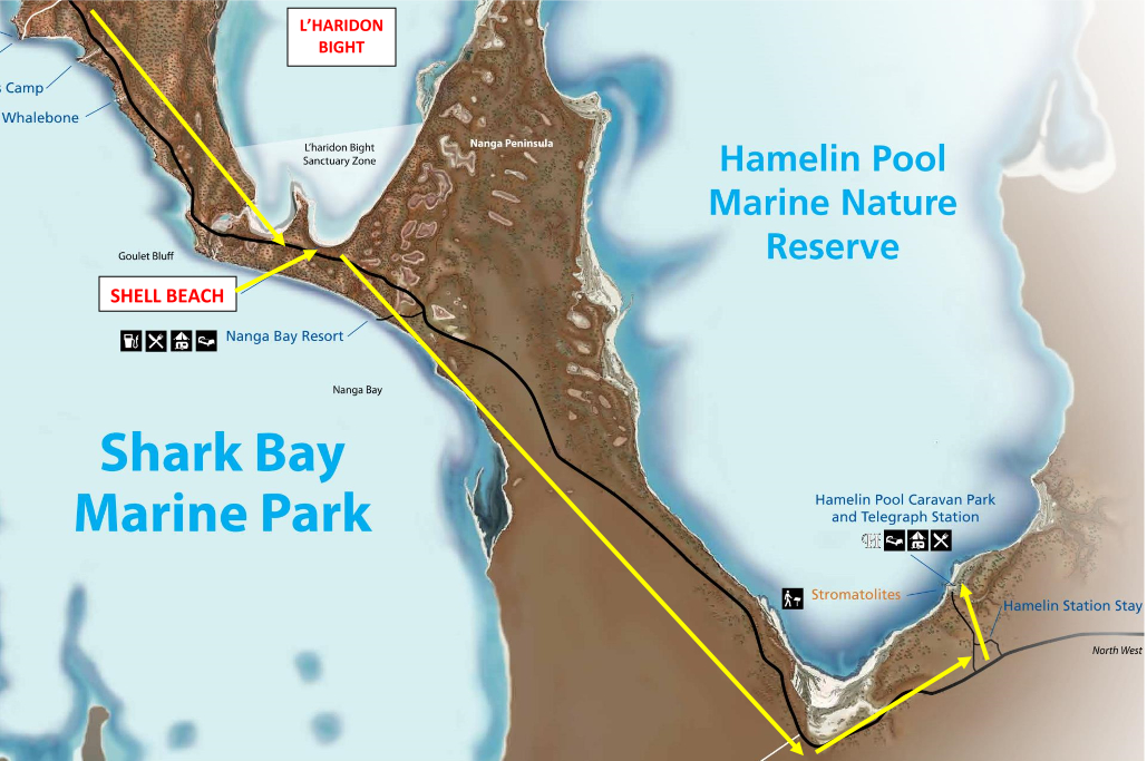 Shell Beach, Shark Bay – FOGTRAVEL