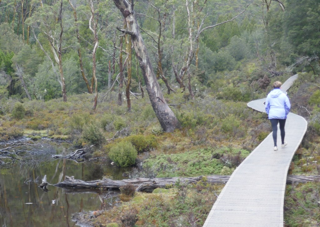 CRADLE VALLEY BOARDWALK – FOGTRAVEL